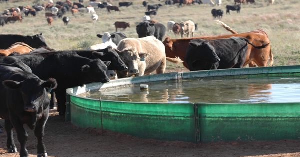 Burke Teichert: 9 ranch management concepts to improve your ranch