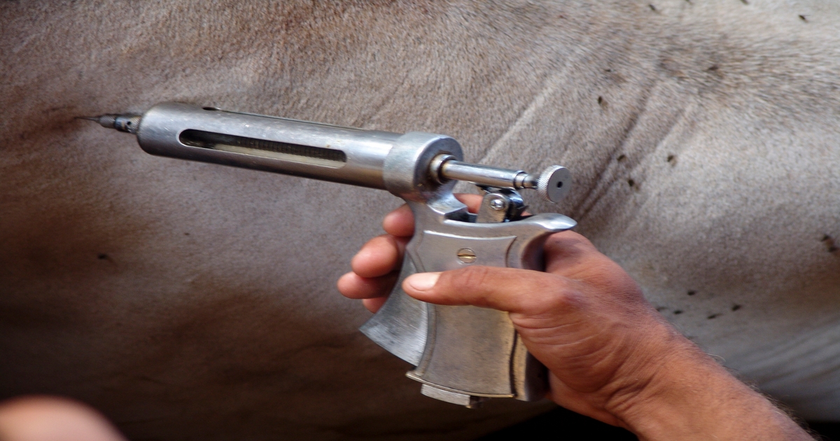 Valid veterinarian-client-patient relationship key to successful cattle ...