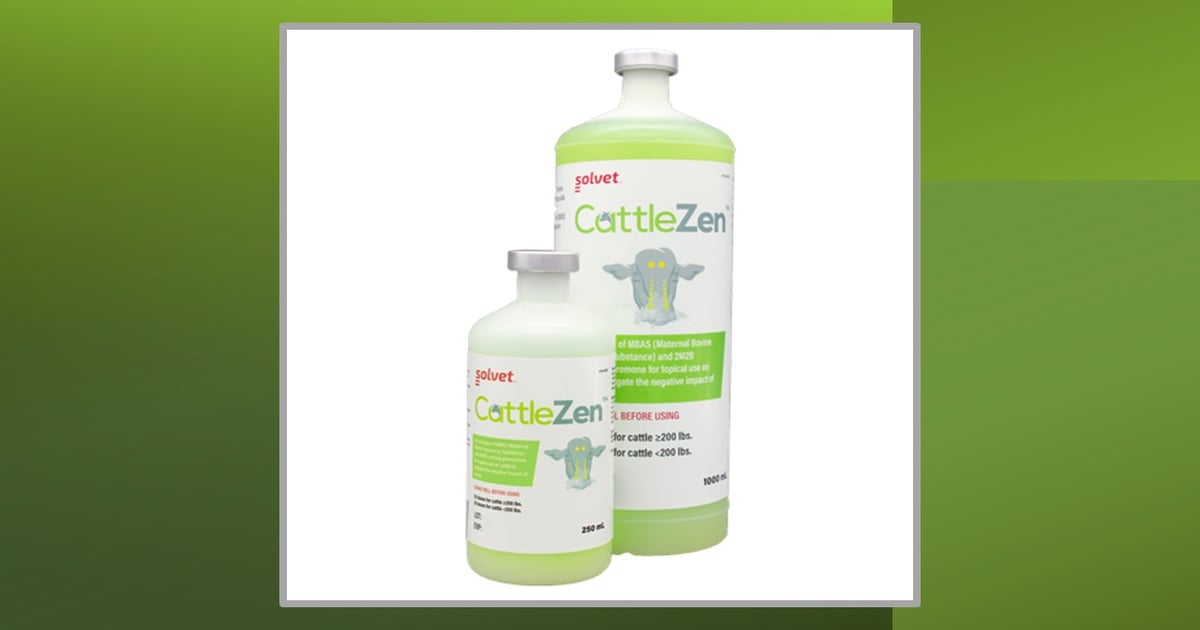 Solvet introduces cattle stress management tool