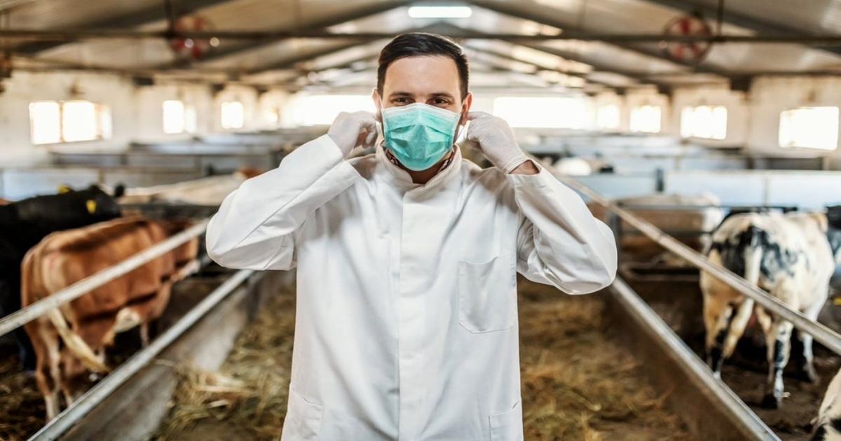 Demand drivers for rural veterinarians