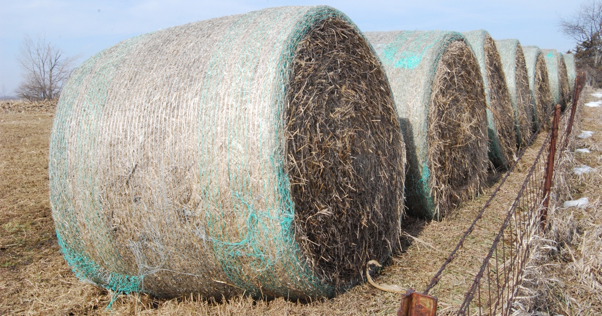 Hay storage options: How do they stack up?