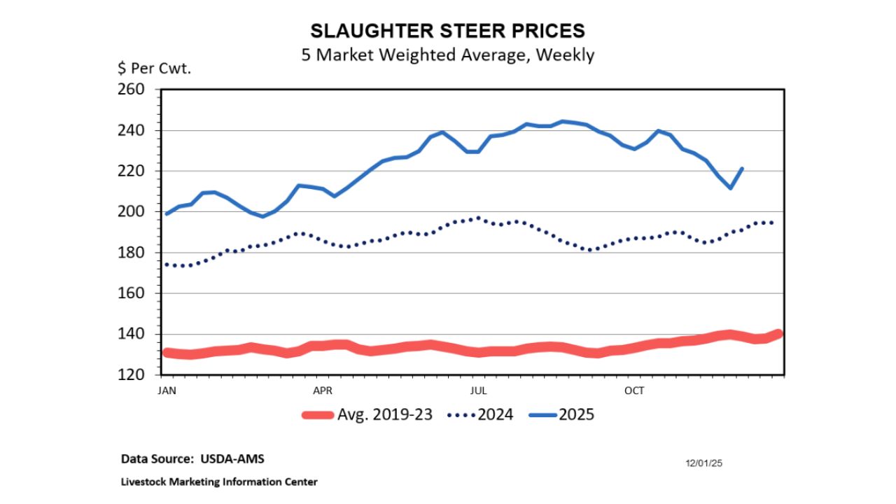 Don't ignore cow size when comparing calf weaning weights