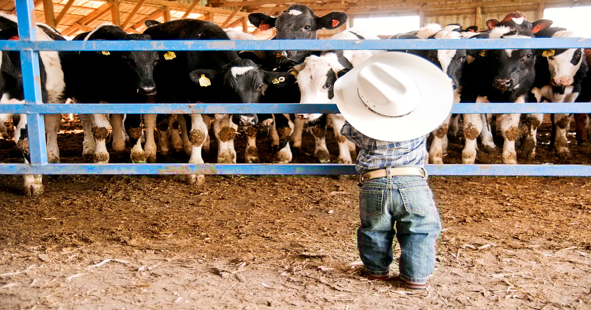 Top 15 "Santa's Little Ranch Helpers" Photos | Beef Magazine