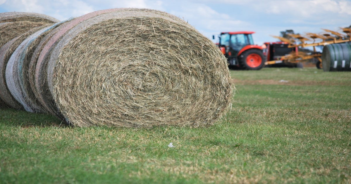 Proper hay storage