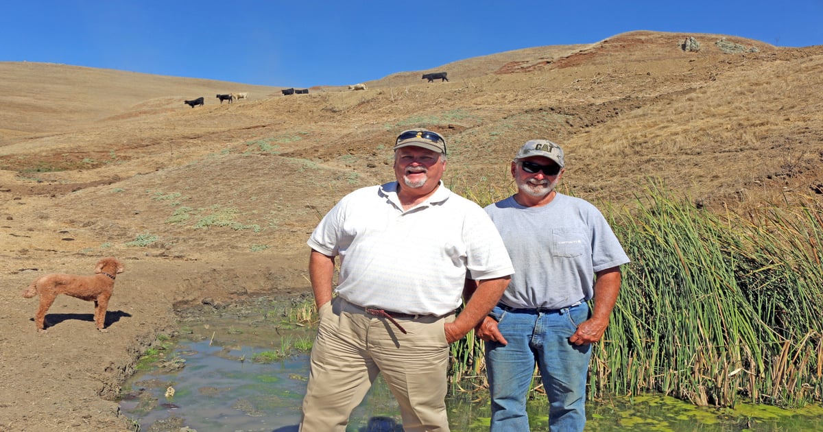 California’s Sparling Ranch: Where salamanders roam