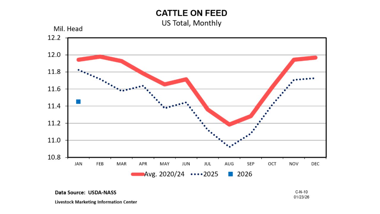 Cattle on Feed suggests continued tight supplies