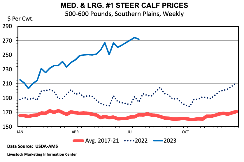Cattle price strength marches on