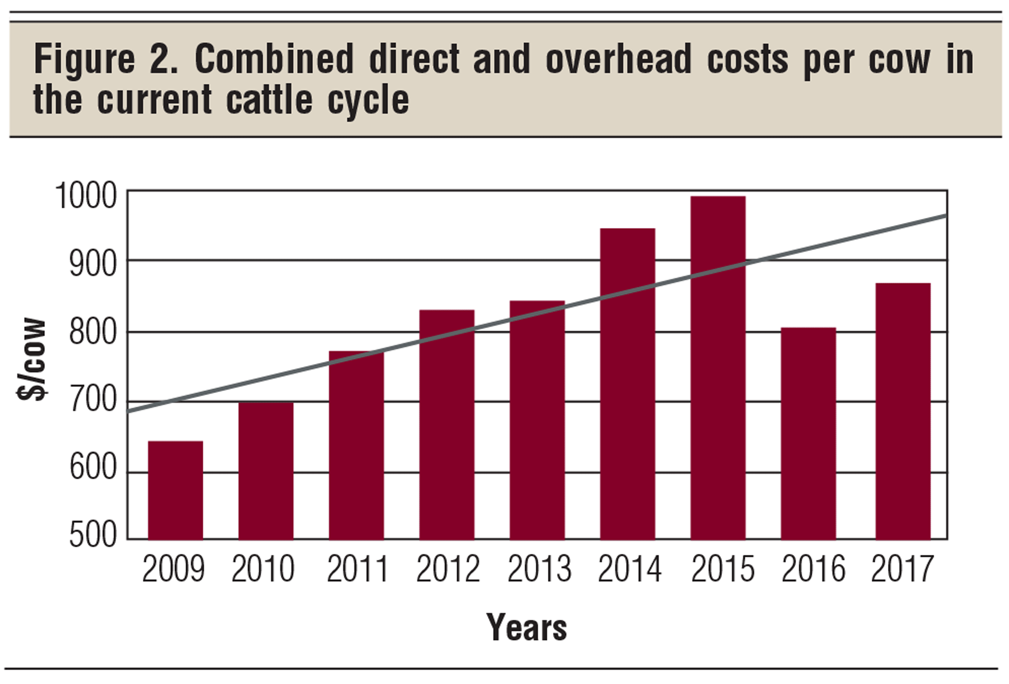Breaking down the economic impact of current cattle cycle