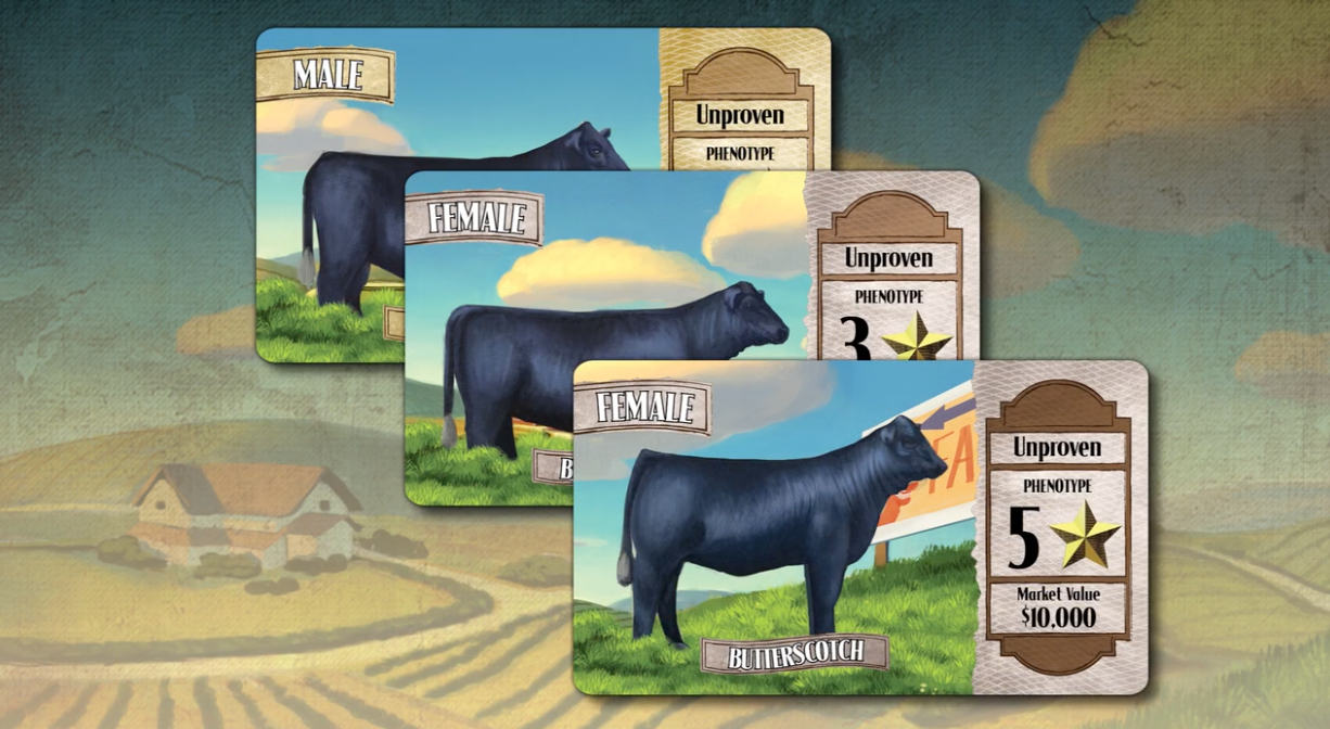 New board game captures excitement & challenge of cattle breeding
