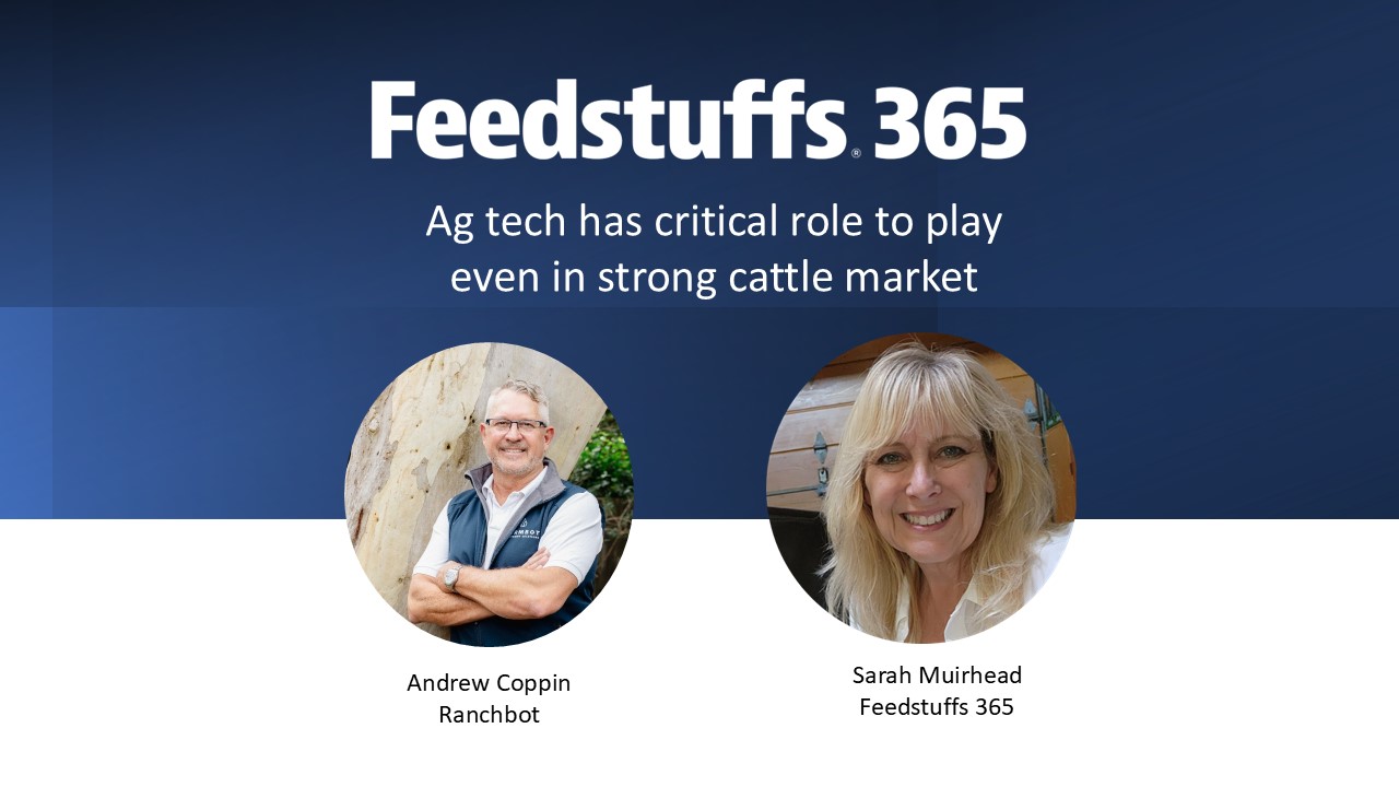 How To Prevent Foot Rot In Cattle | Hoof Rot, Digital Dermitis