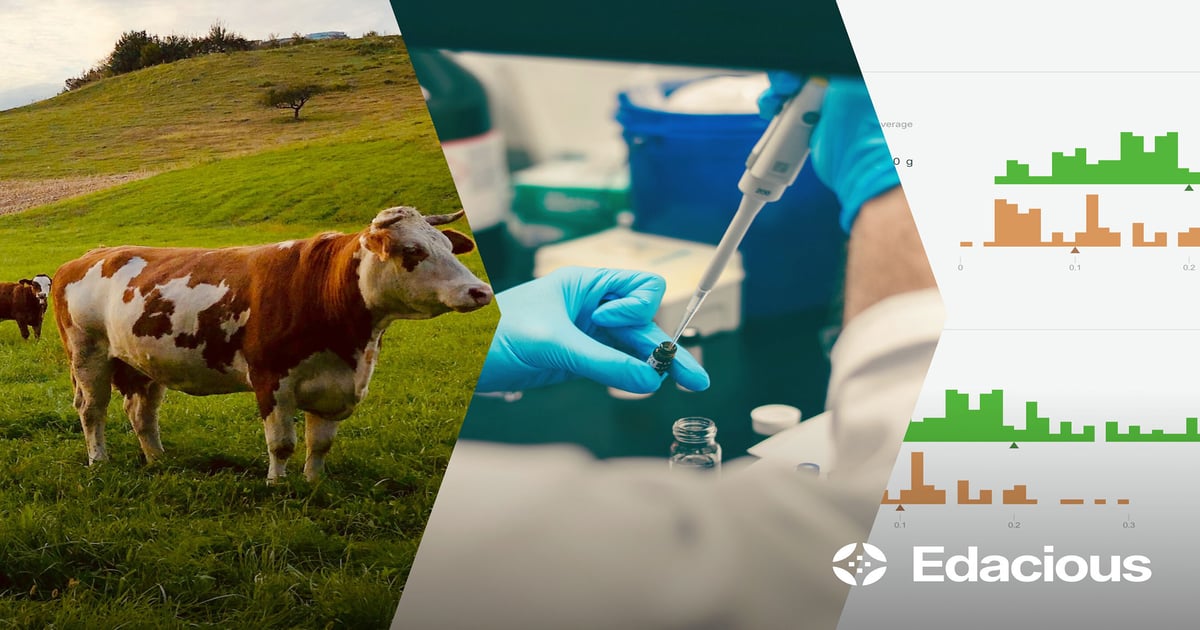Study reveals how production practices influence nutrient density of beef