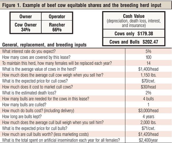 Tips For Setting Up A Cow Lease