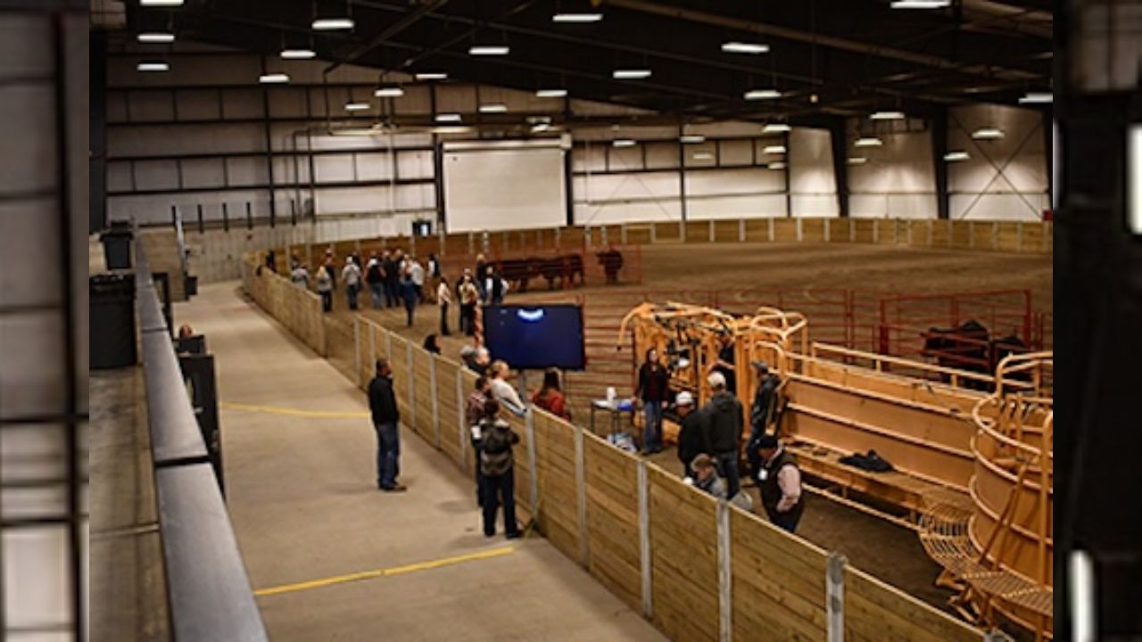 Beef Pricing recent news | Beef Magazine