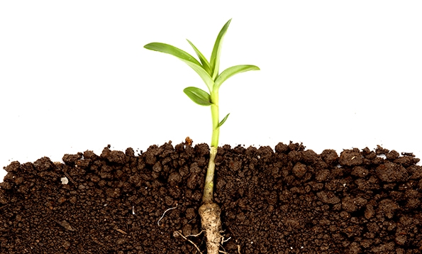 SGT Signs Agreement With VRM Biologik Group to Improve Organic Waste