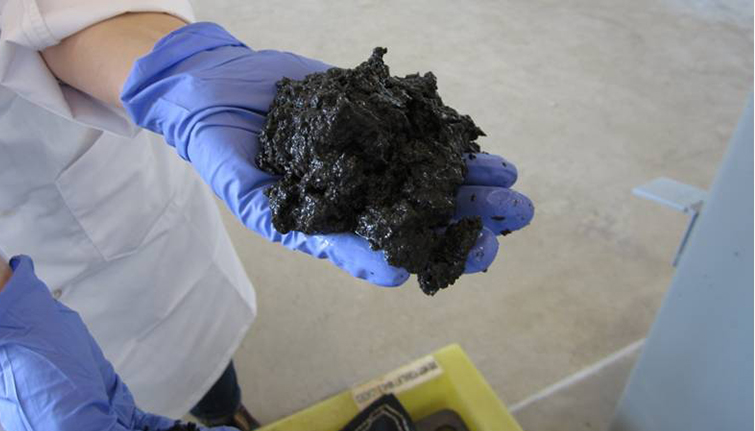 Pilot to Transform Organic Waste into Liquid Transportation Fuels