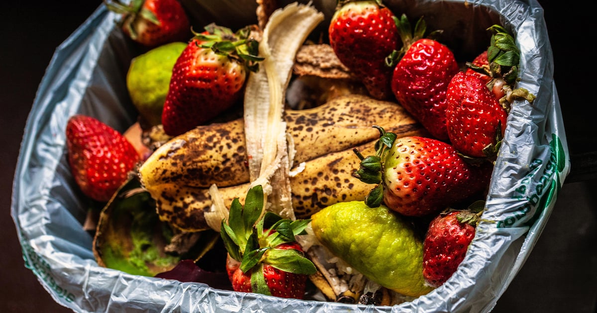 Hampshire, UK to Introduce Food Waste Curbside Collection, Recycling by ...