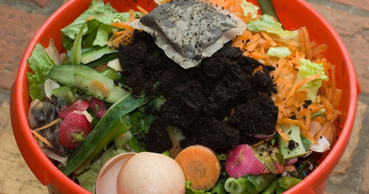 Chicago Residents Compost 295 Tons of Food Waste Following Citywide Program