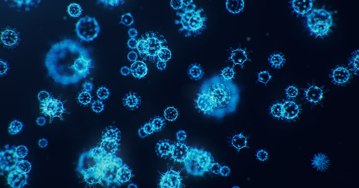 Q&A with RoadRunner CEO Graham Rihn