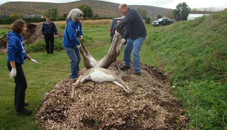 Mortality Composting Provides Disposal Solution for Animal Carcasses