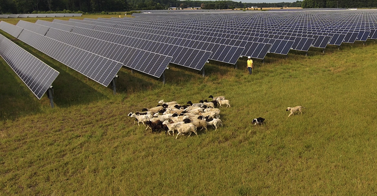 New Solar Projects Approved for Dominion Energy Virginia Customers New Solar Projects Approved for Dominion Energy Virginia Customers