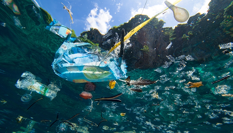 Mondelēz International Invests in Circulate Capital's Ocean Fund