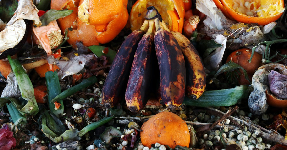Couple Launches Houston's First Curbside Composting Service
