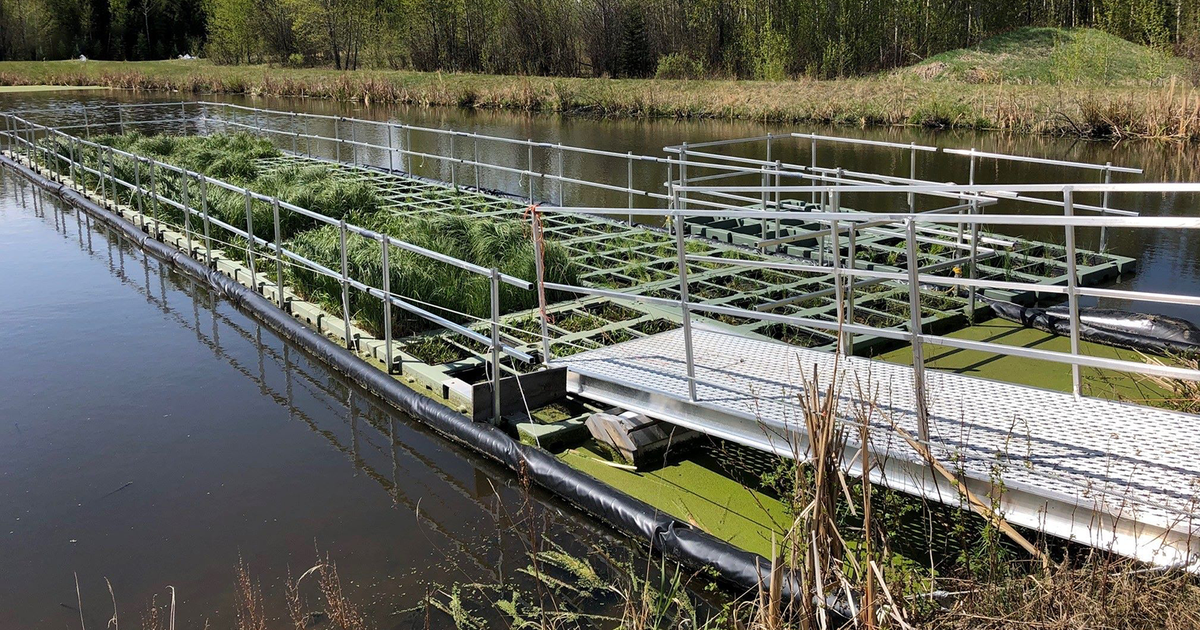 Floating Wetlands Treat Canadian Community’s Human Wastewater