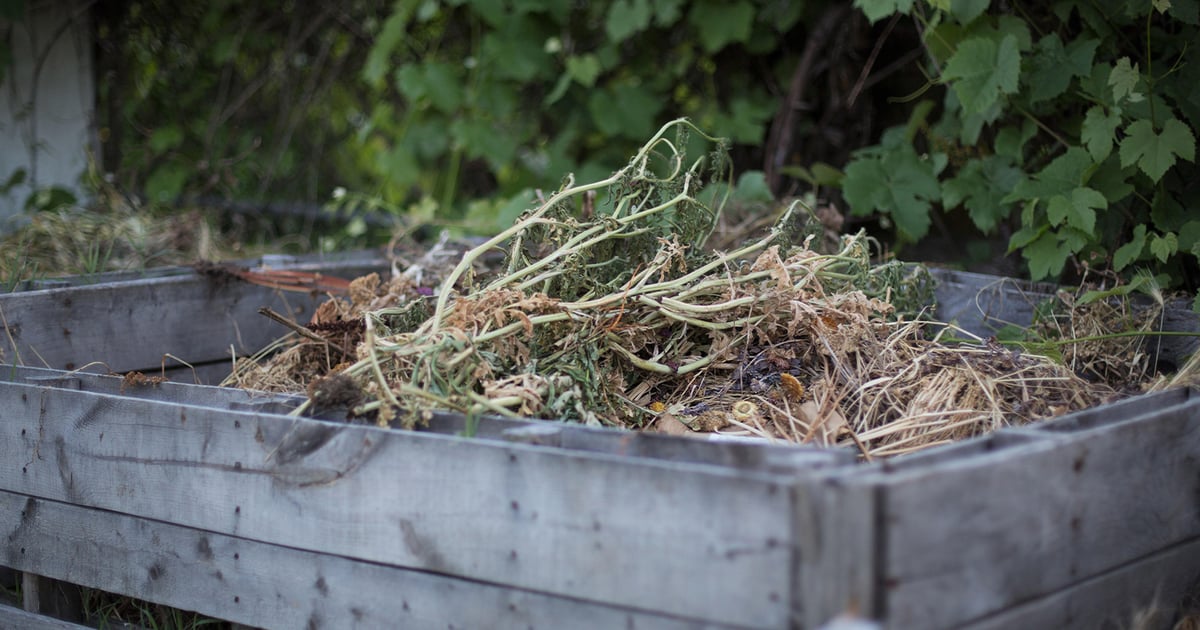 Tennessee Turns to Food Scrap Program to Reduce Landfill Waste