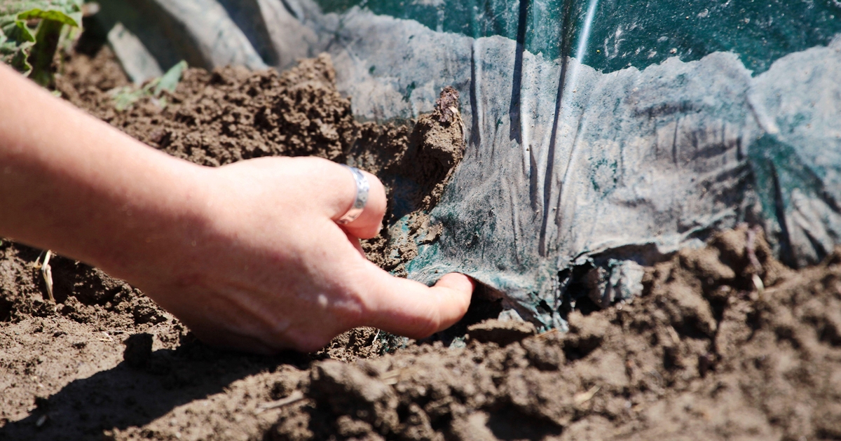 New Recyclable Bioplastic Developed at University of Washington