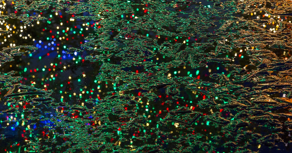 New Orleans Announces Christmas Tree Recycling Program