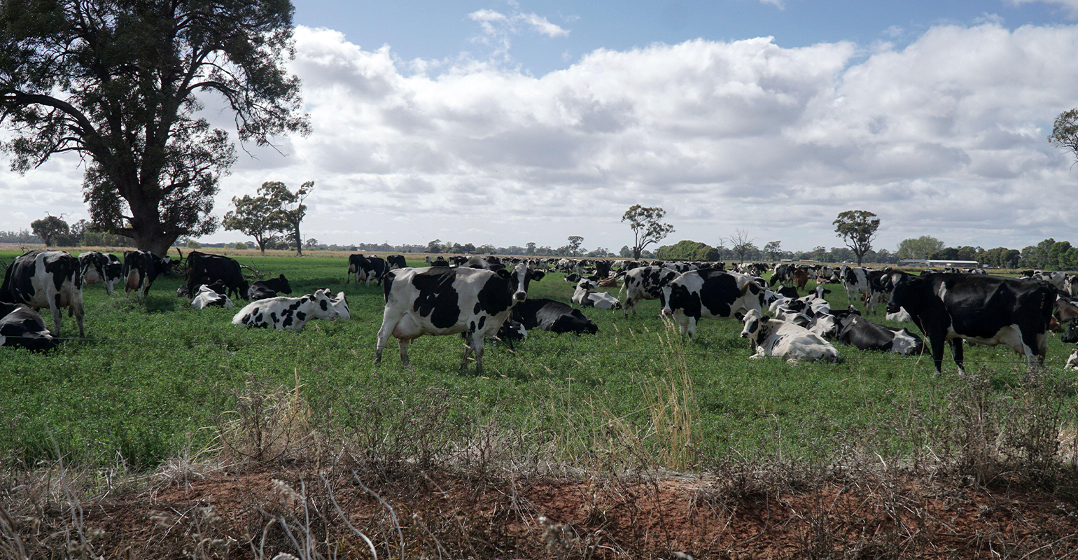 Dairy Lagoon Digesters in Climate Conversations