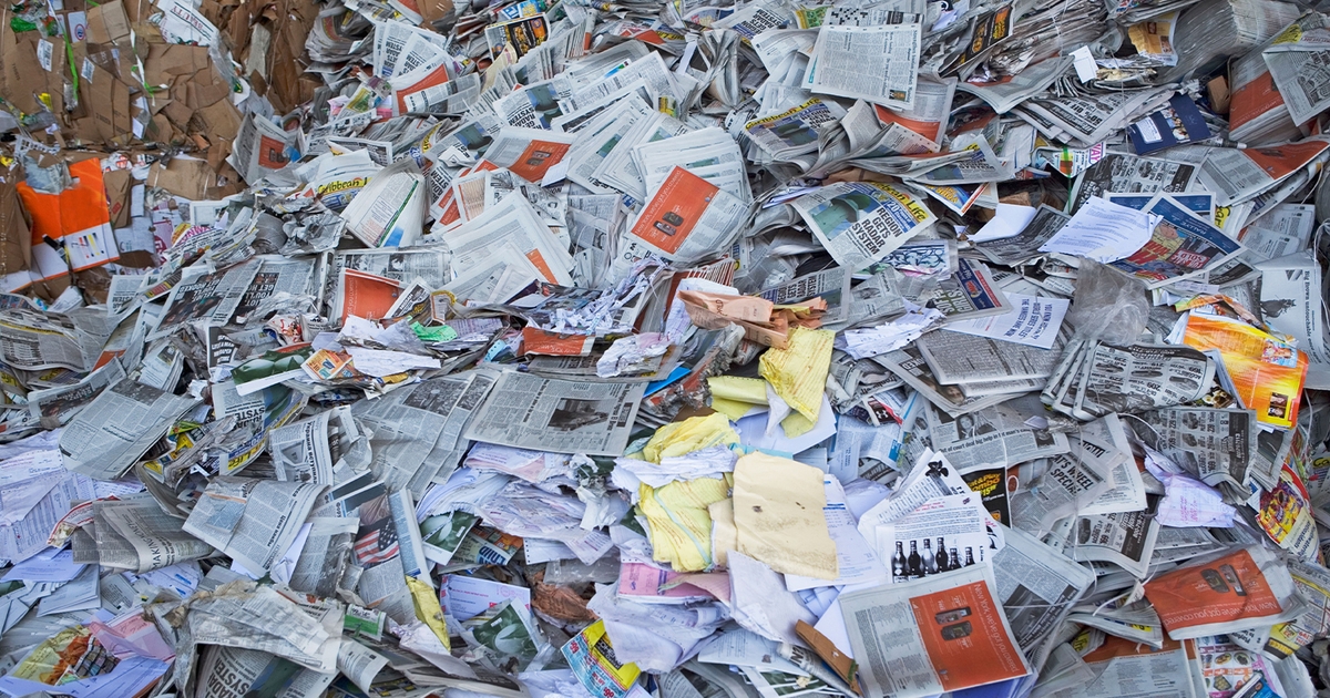 America Recycles Day: Celebrating Paper's Recycling Triumphs
