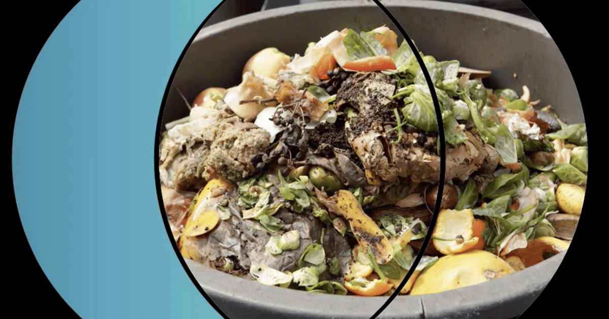 Using Measurement Tools to Reduce Food Waste and Drive Prevention