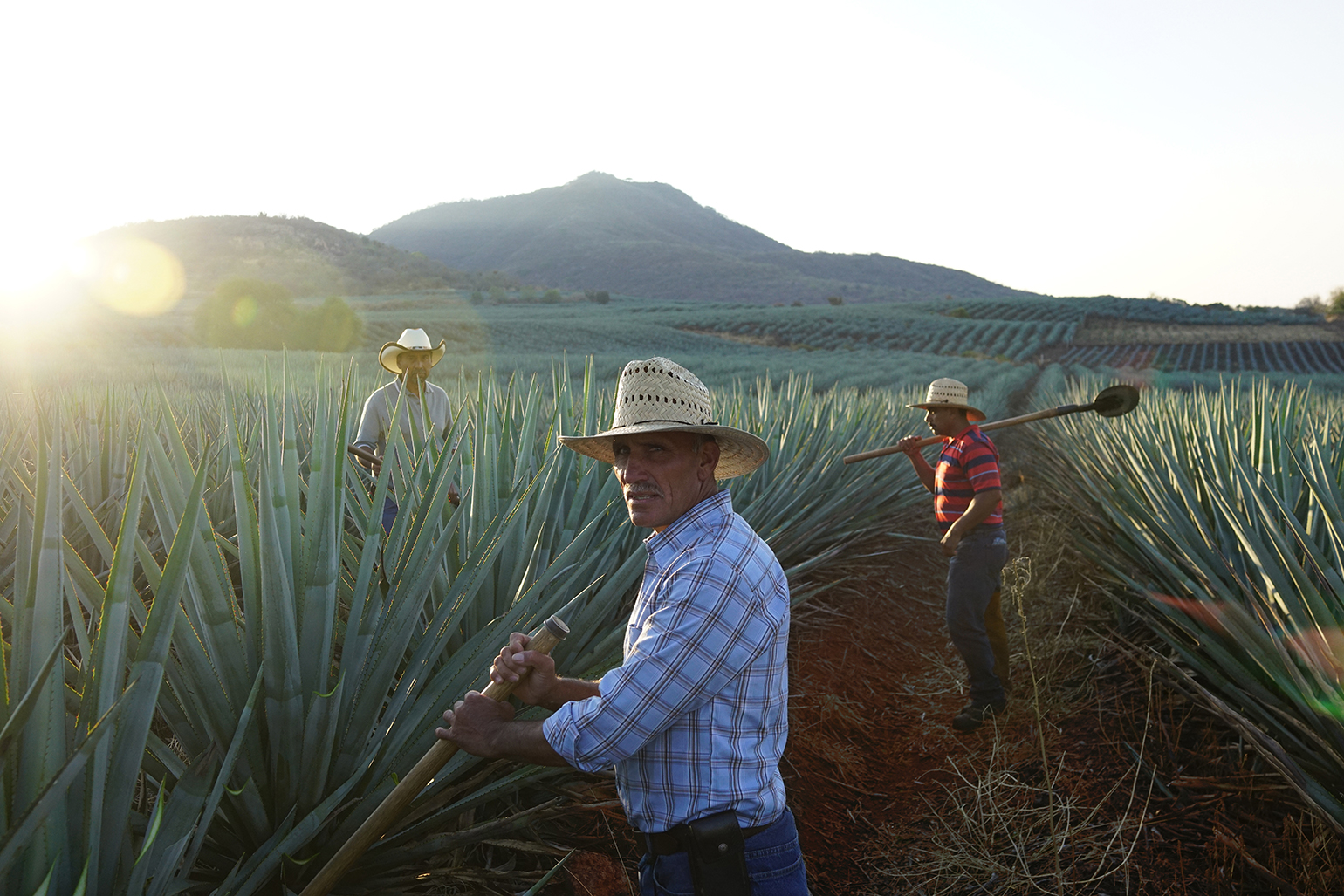 A Look at One Tequila Distiller’s Zero Waste Efforts