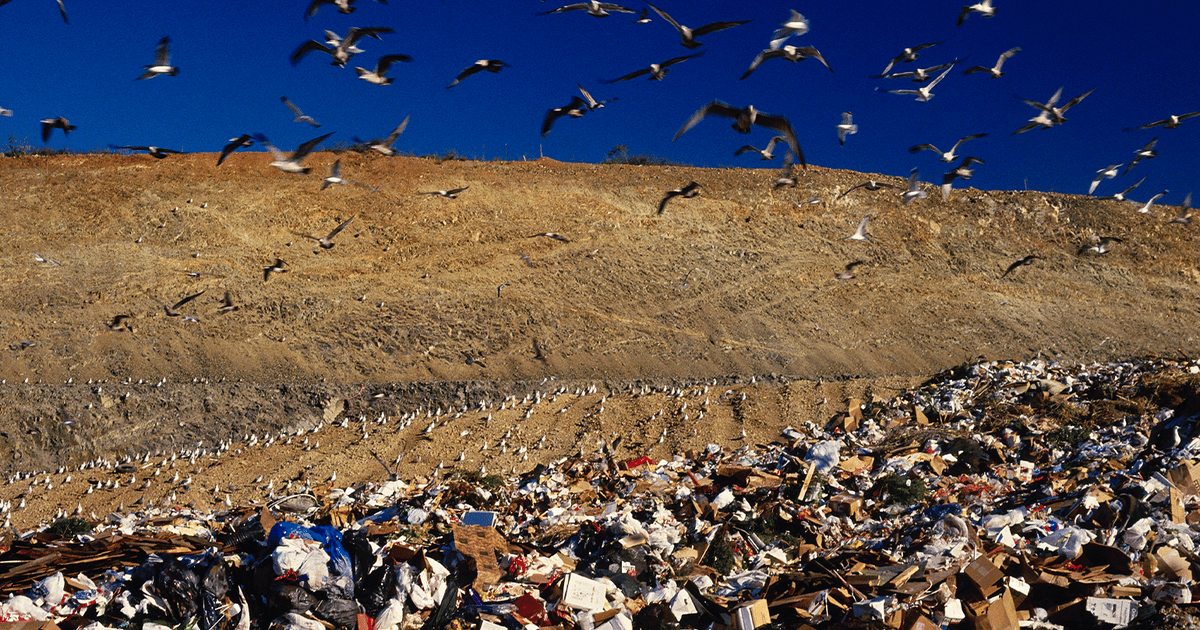 TerraCycle Recycling Models for Beauty and Personal Care Packaging ...