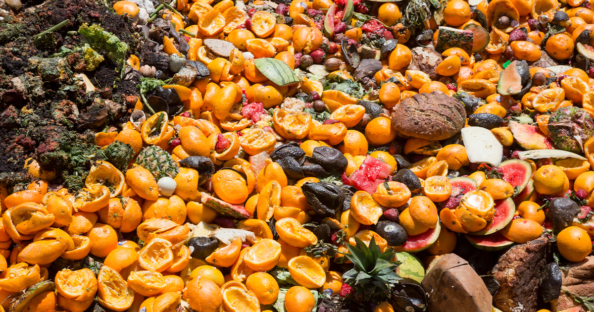 How Food Waste Deterrence Policies Redirect Surplus Food from Landfills ...