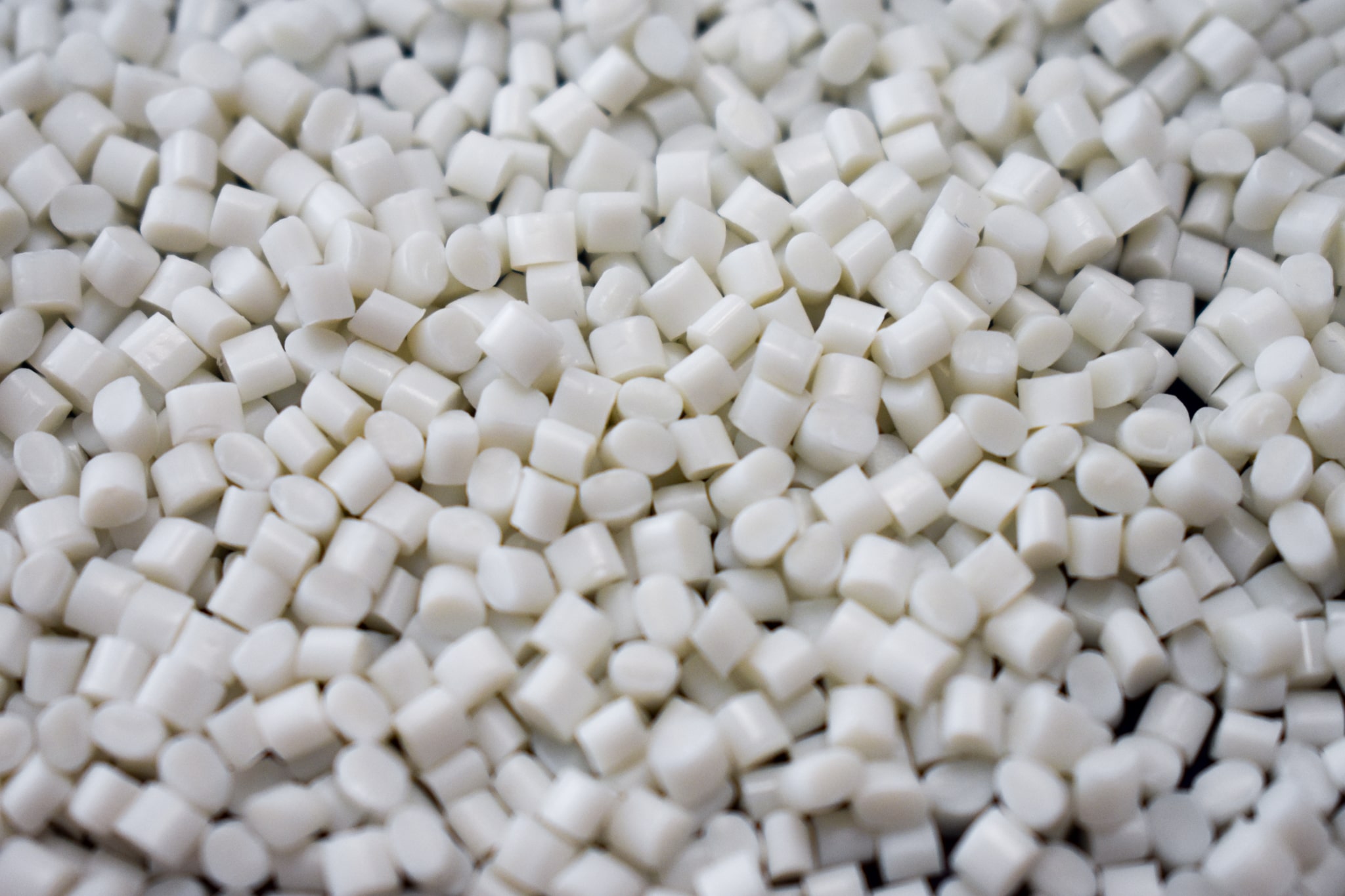 CiCLO Biodegrades Polyester and Nylon in a Few Years