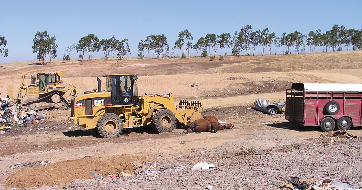 Landfill Odors -Why They Happen and Chasing Them Down - Part 1