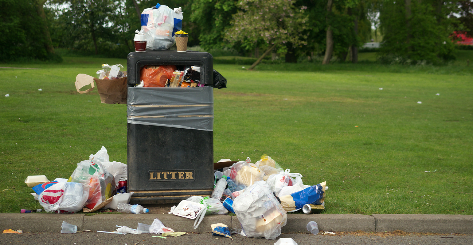 The Psychology of Littering