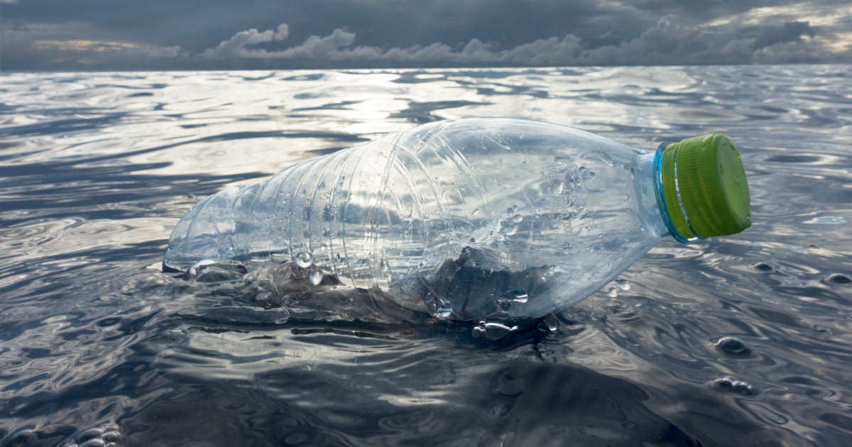 Oceana’s Littlejohn Believes Reusable Containers are the Real Thing