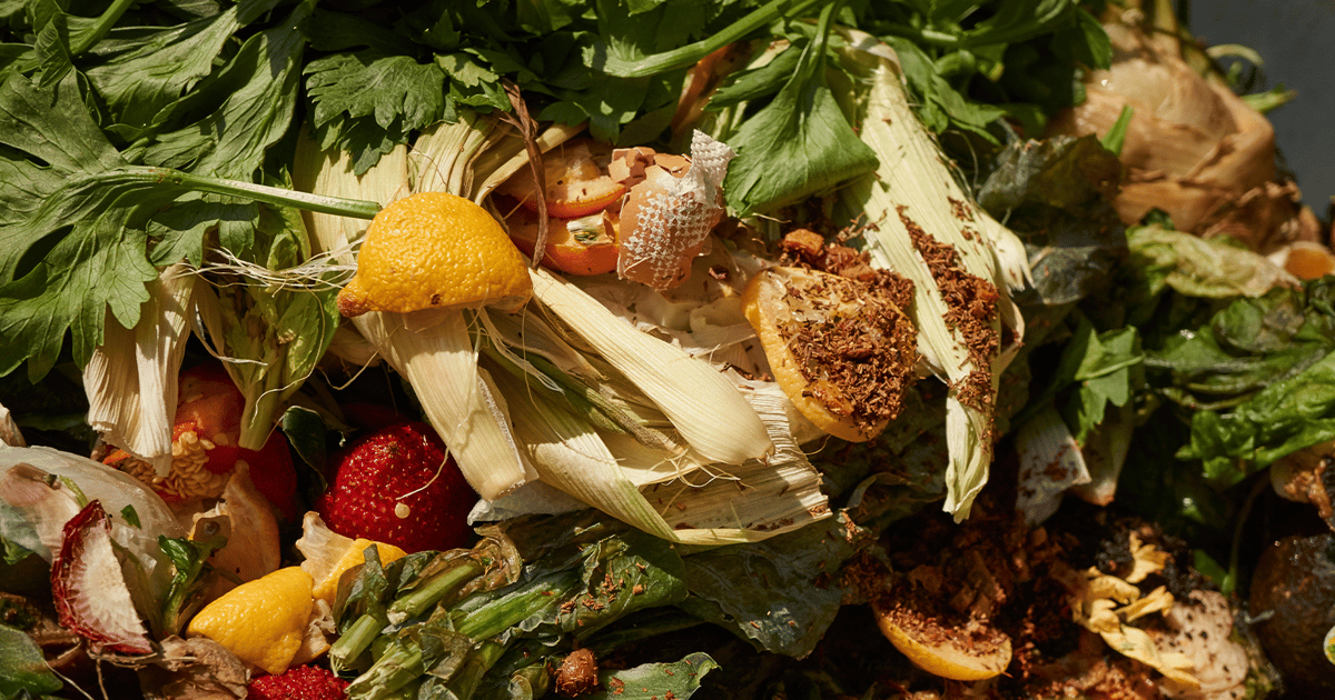 Divert Reports Major 2024 Growth with 630 Million Pounds Recycled