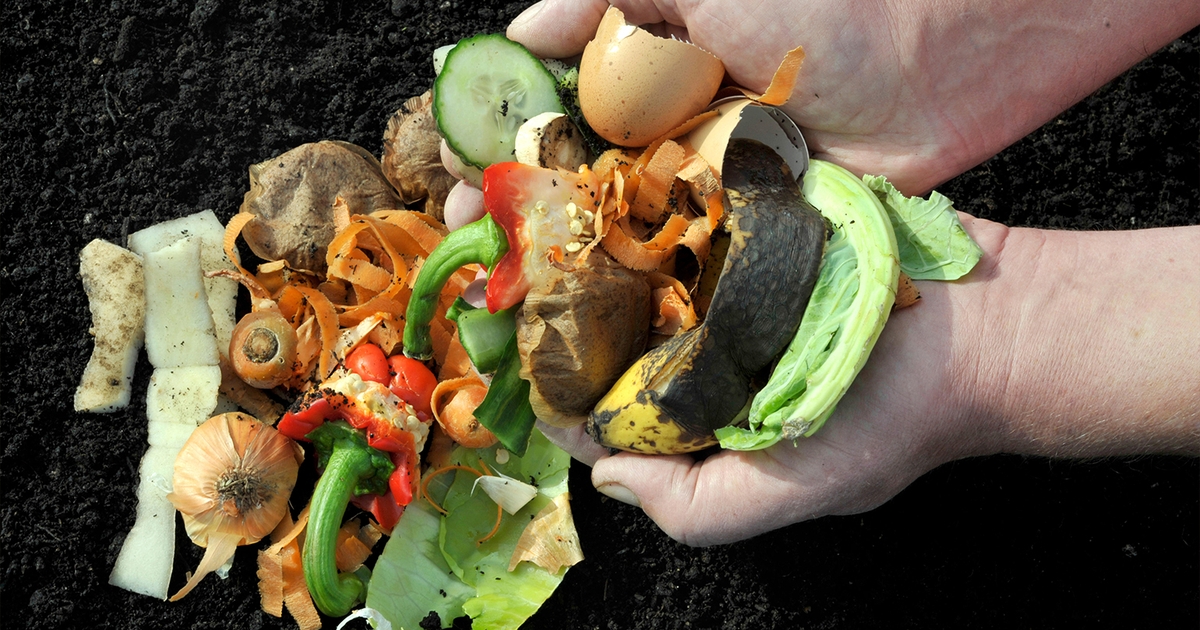 NYC Announces New Compost Bin Size Following Record Collection Week