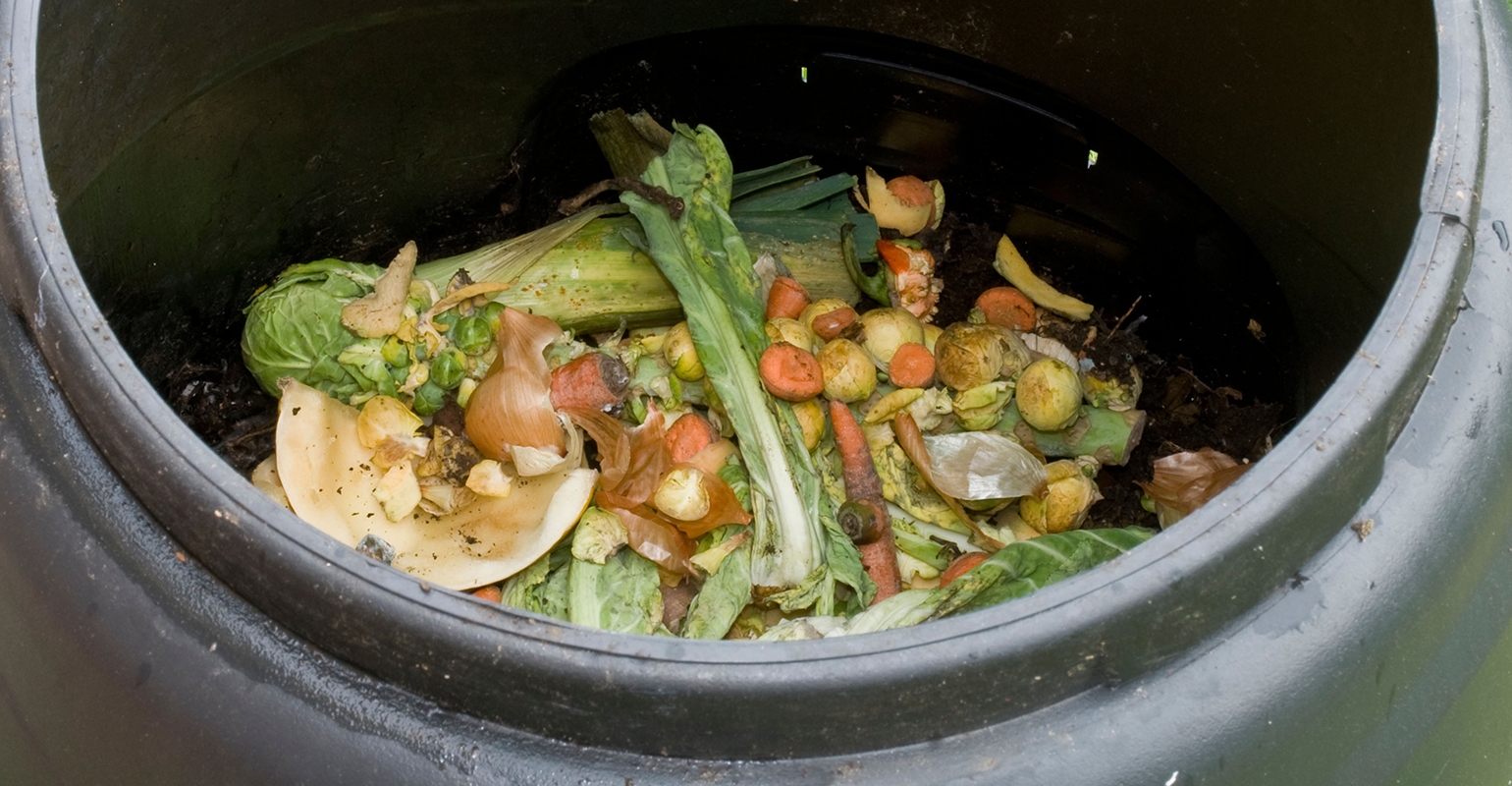 Massachusetts City Working with Local Compost Company, Begin Planning ...