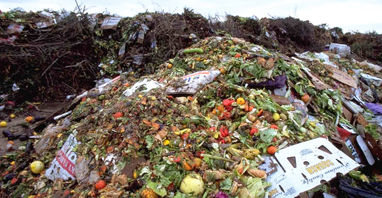 Palo Alto, Calif., Works to Achieve New Organics Waste Diversion Targe