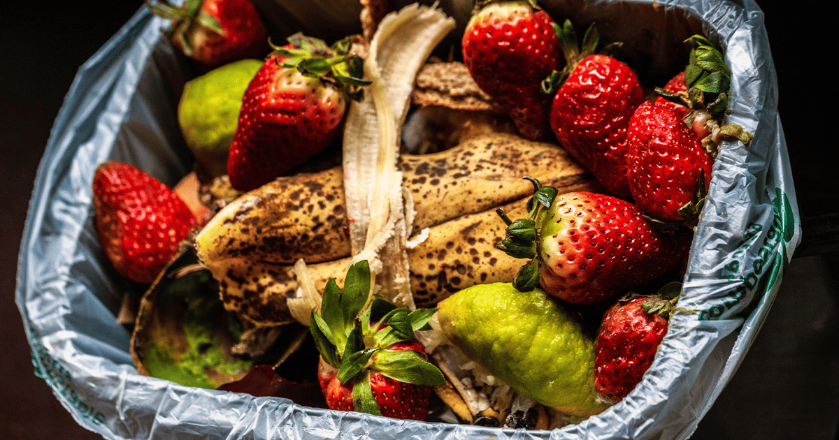 Advancing Edible Food Recovery: Model Programs and Case Studies