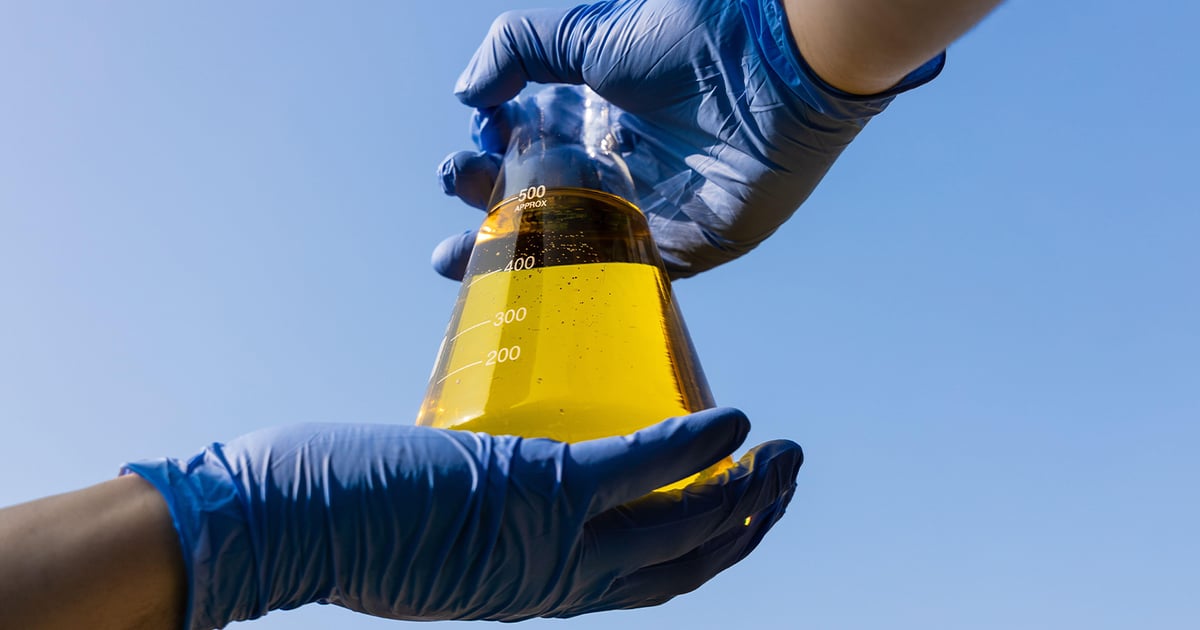 Woodland Biofuels Announces $1.35B Investment for Biofuel Facility in ...