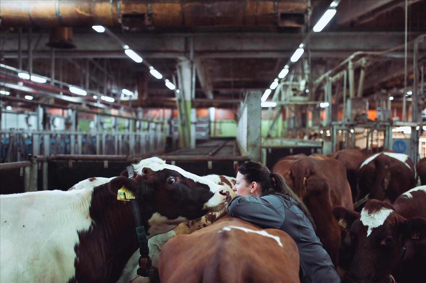 Windfall Bio to Launch First-Ever Methane-to-Organic Fertilizer