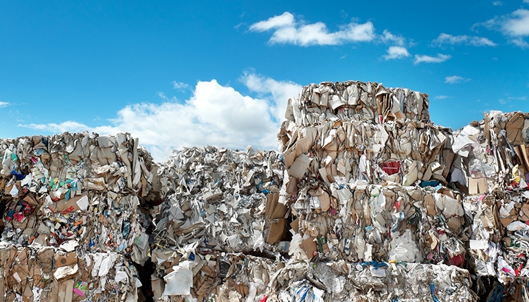 New Brunswick Develops EPR Program for Packaging, Printed Paper