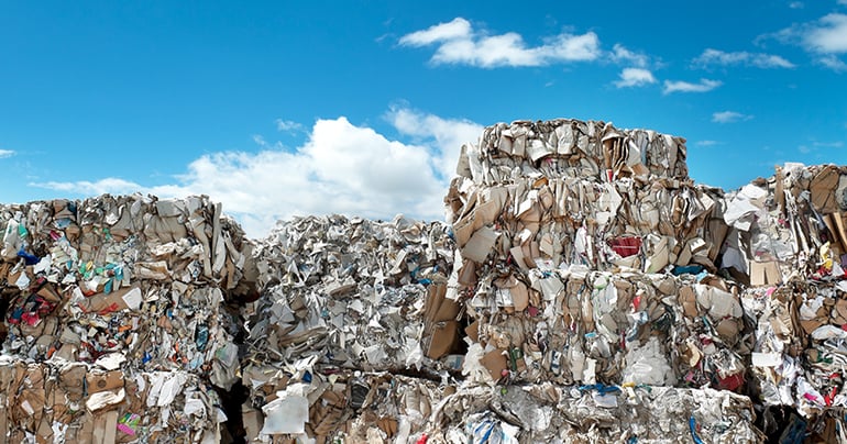 New Brunswick Develops EPR Program for Packaging, Printed Paper