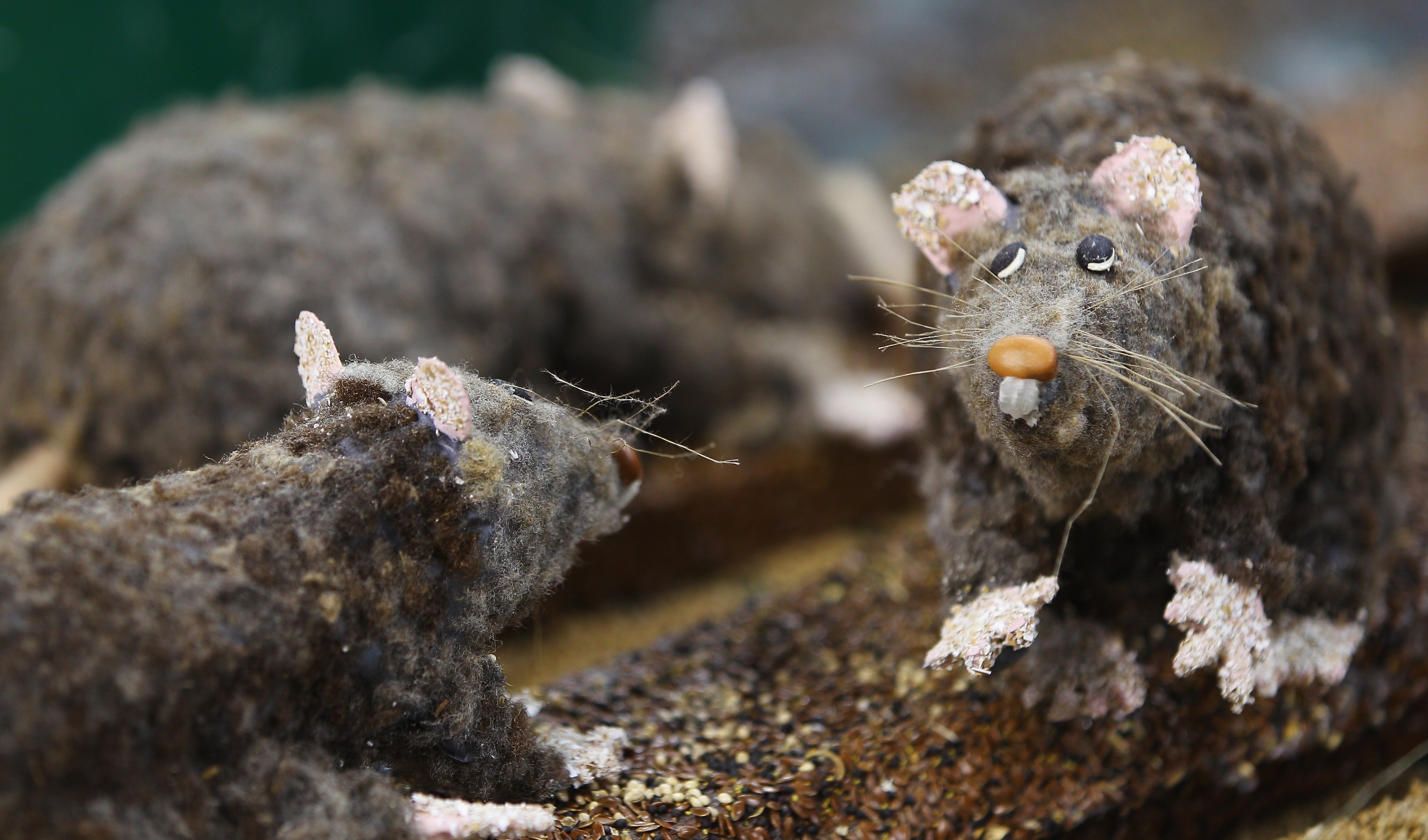 NYC Mayor Proposes $32M Plan to Crack Down on Rats
